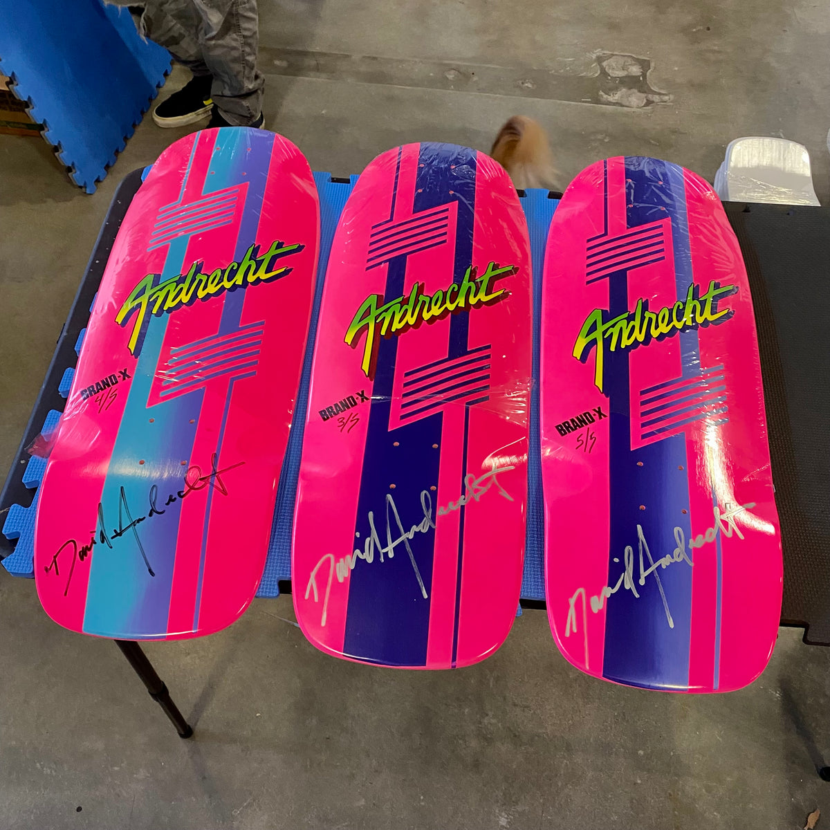 Dave Andrecht 10”x30” Pig Limited EditionDeck AUTOGRAPHED & HAND PAINT ...