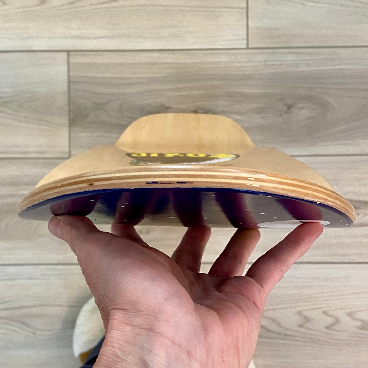 Toxic Team Bullet-Pig Deck 9.1"x33.25” HAND-PAINTED – Brand-X Skateboards